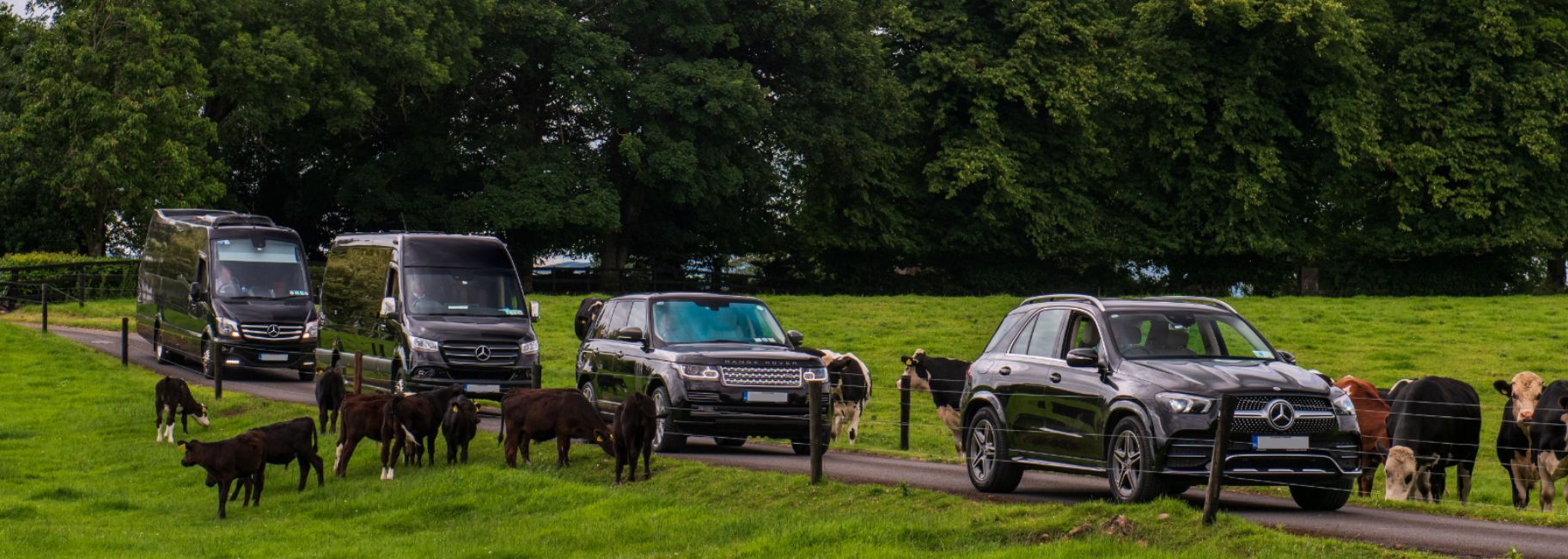 Luxury Transport, Private Guided Touring in Ireland | Ireland Chauffeur ...