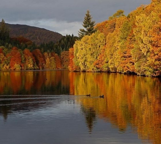 Why autumn is the best time to visit Ireland | Ireland Chauffeur Travel