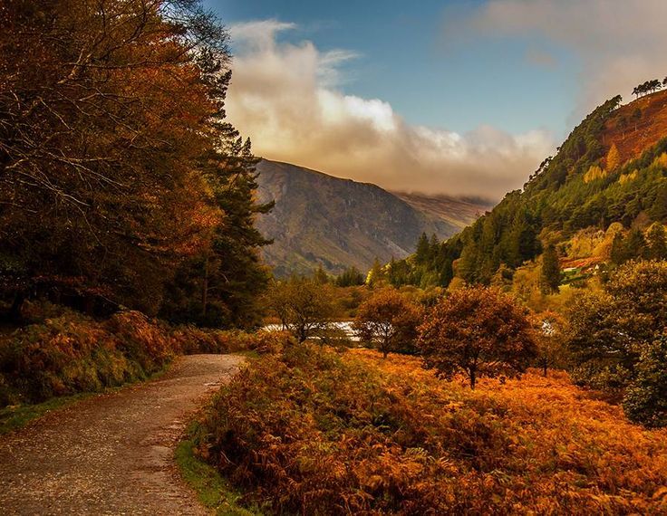 Why autumn is the best time to visit Ireland | Ireland Chauffeur Travel