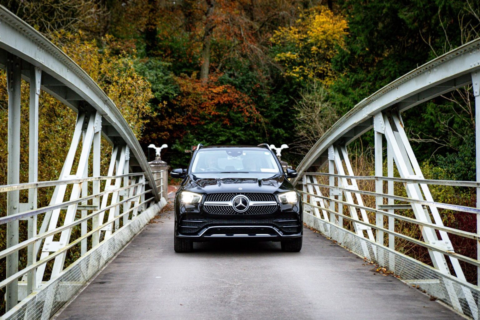 Embrace a Giant Spirit in Northern Ireland - Ireland Chauffeur Travel